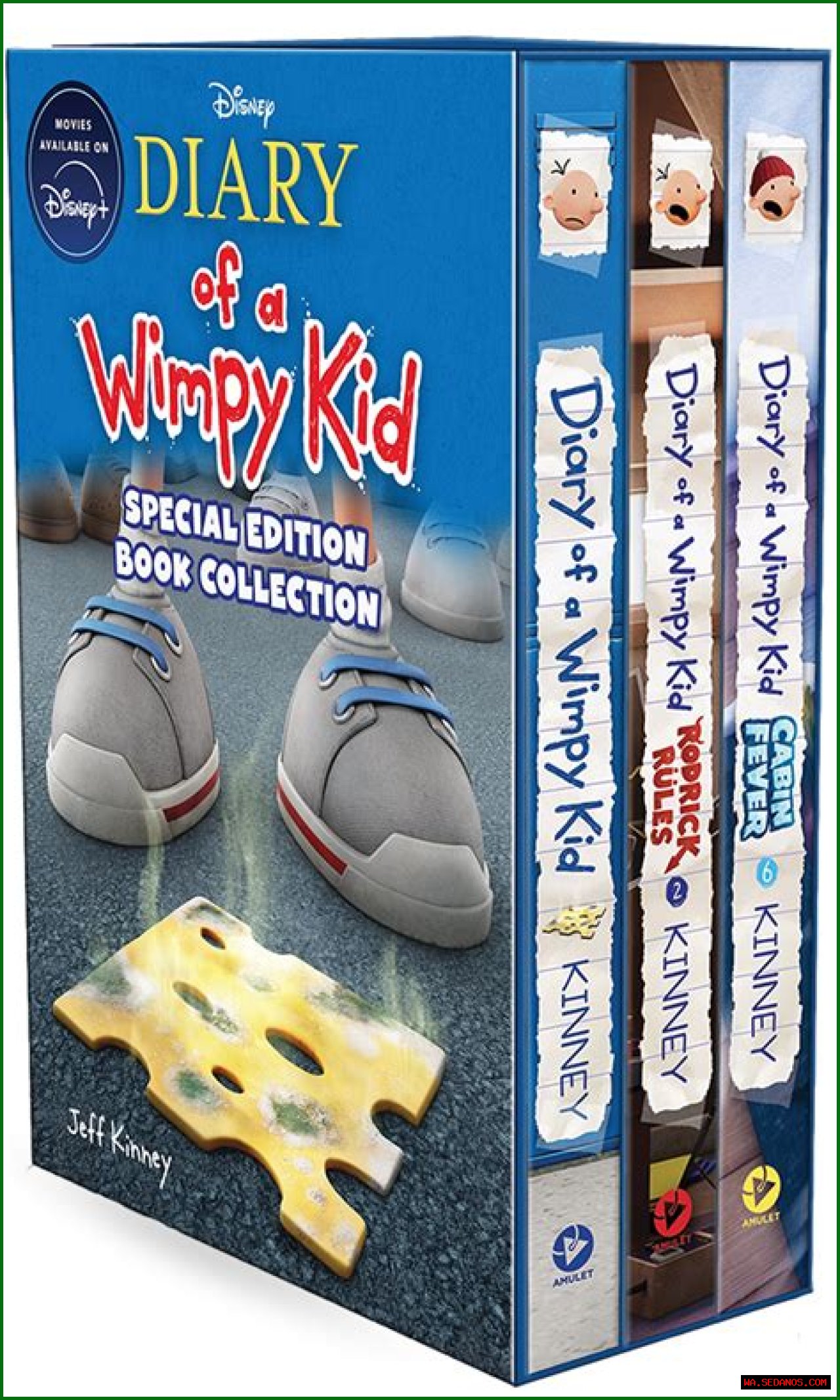 Uncover Ryan Grantham's Memorable Role In 'Diary Of A Wimpy Kid'